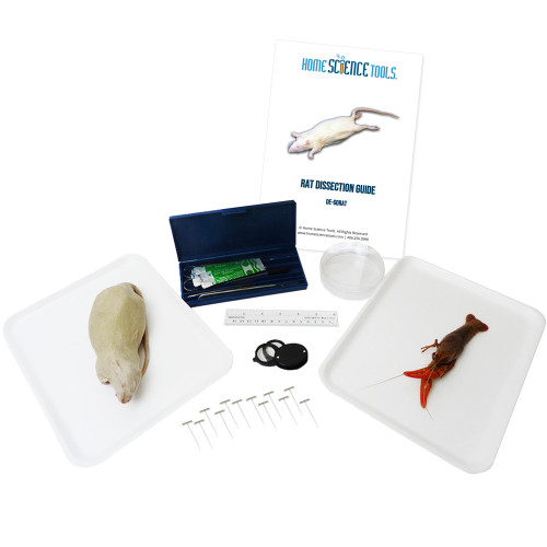 BJU Press Biology 10 Dissection Kit
