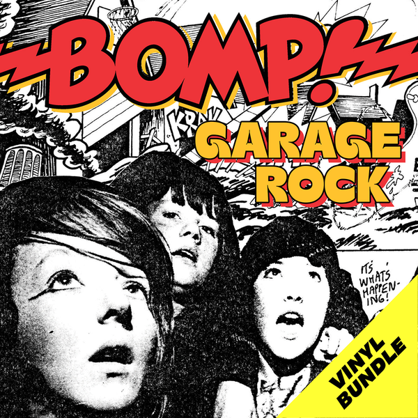 #007 -"BOMP GARAGE" MYSTERY LP BUNDLE (If you like Seeds, Outsiders ...