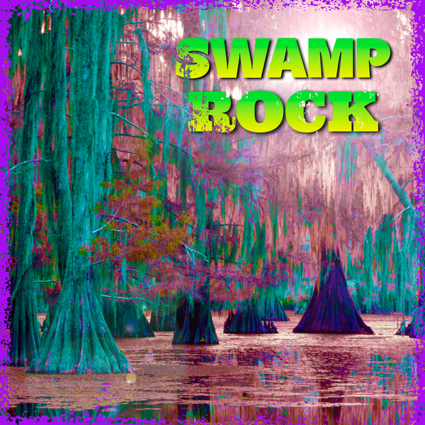 #010- "SWAMP ROCK" MYSTERY BUNDLE - If you like Creedence, Dr. John or ...