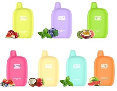 Flum Pebble 6000 PUFFS