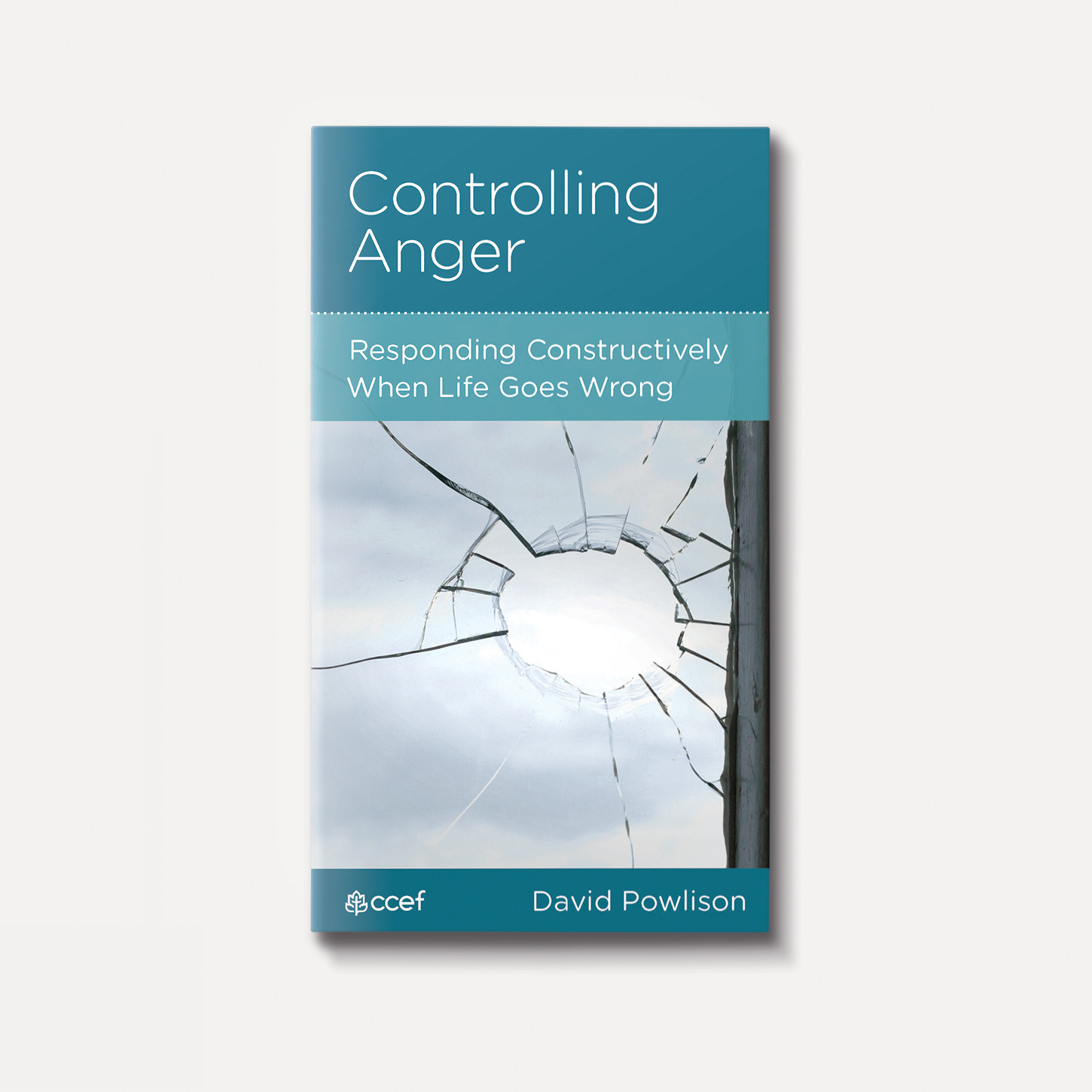 Controlling Anger: Responding Constructively When Life Goes Wrong ...