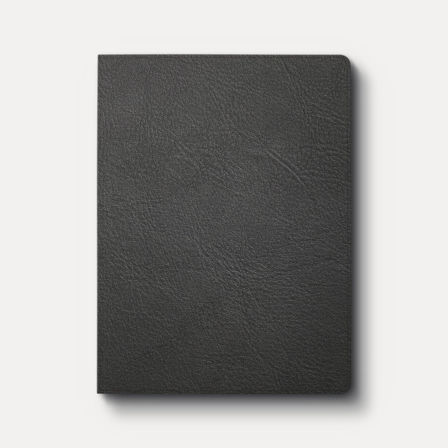 Buy CSB (Christian Standard Bibles) Online