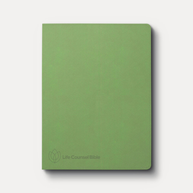 CSB Life Counsel Bible: Practical Wisdom for All of Life (Jacketed ...