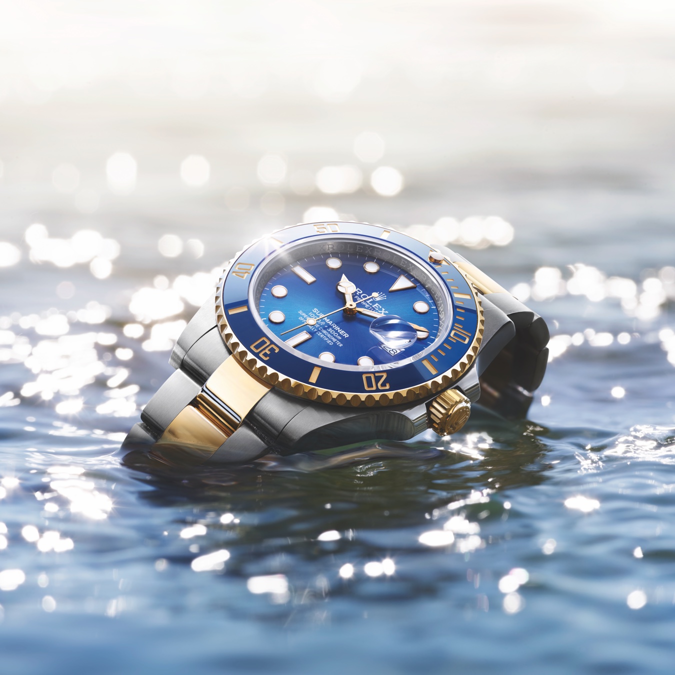 The Reference Among Divers' Watches - Razny Jewelers