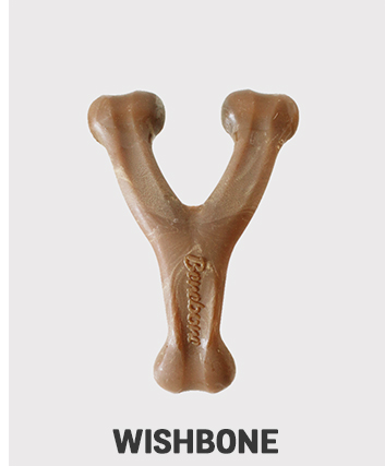 Benebones, A Yummy Chew For Dogs - Decadent Dogs