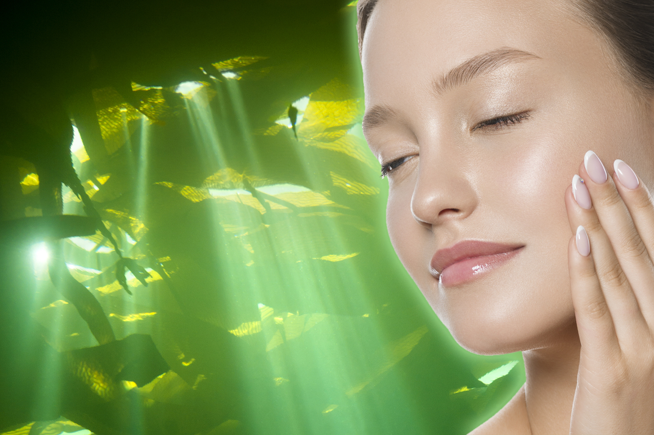 Kelp in Your Skincare Regime - VinoSpa Noble Skincare