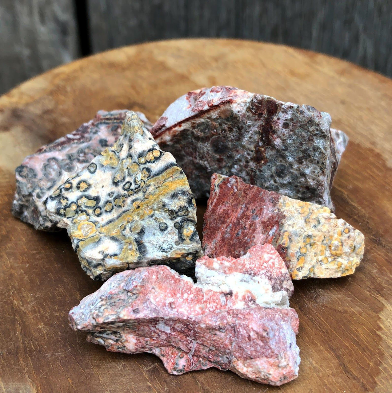 White Leopard Skin Jasper