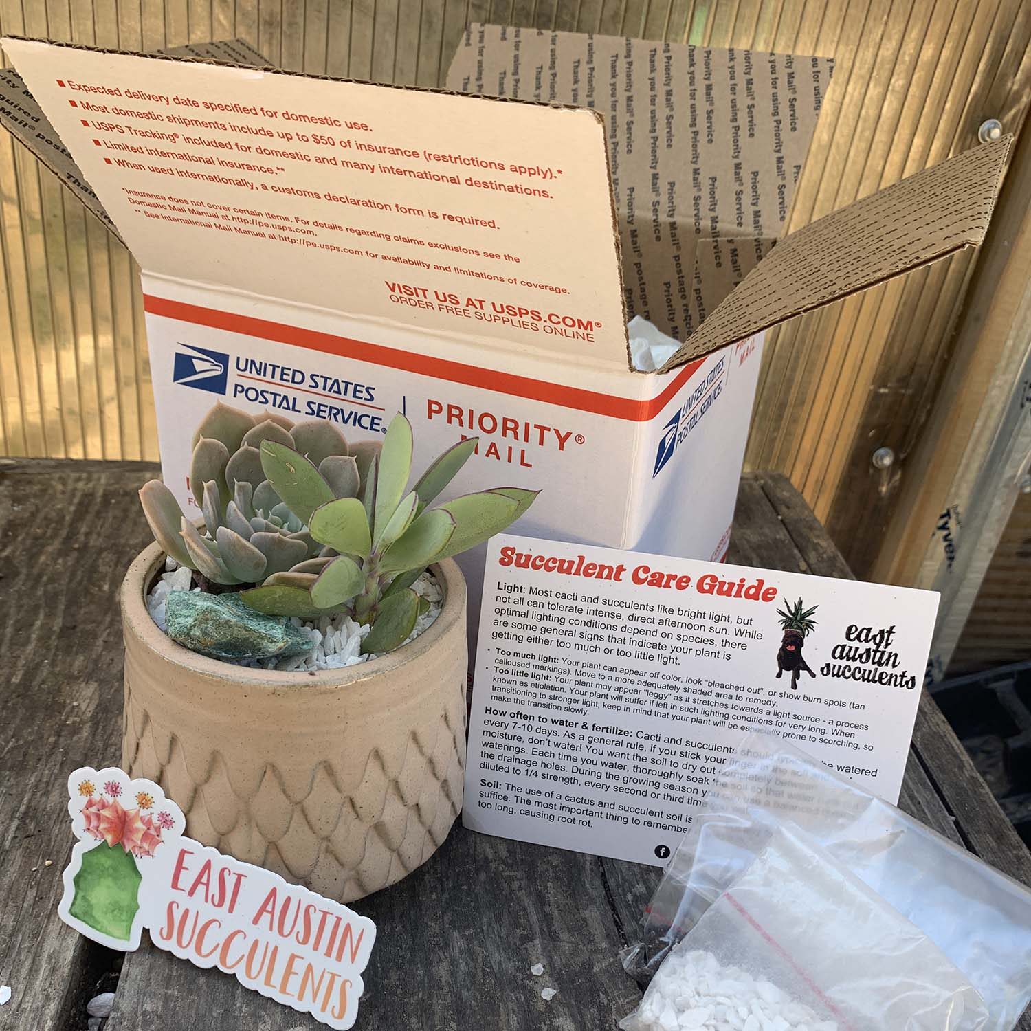 Opening a DIY kit from box to arrangement - East Austin Succulents