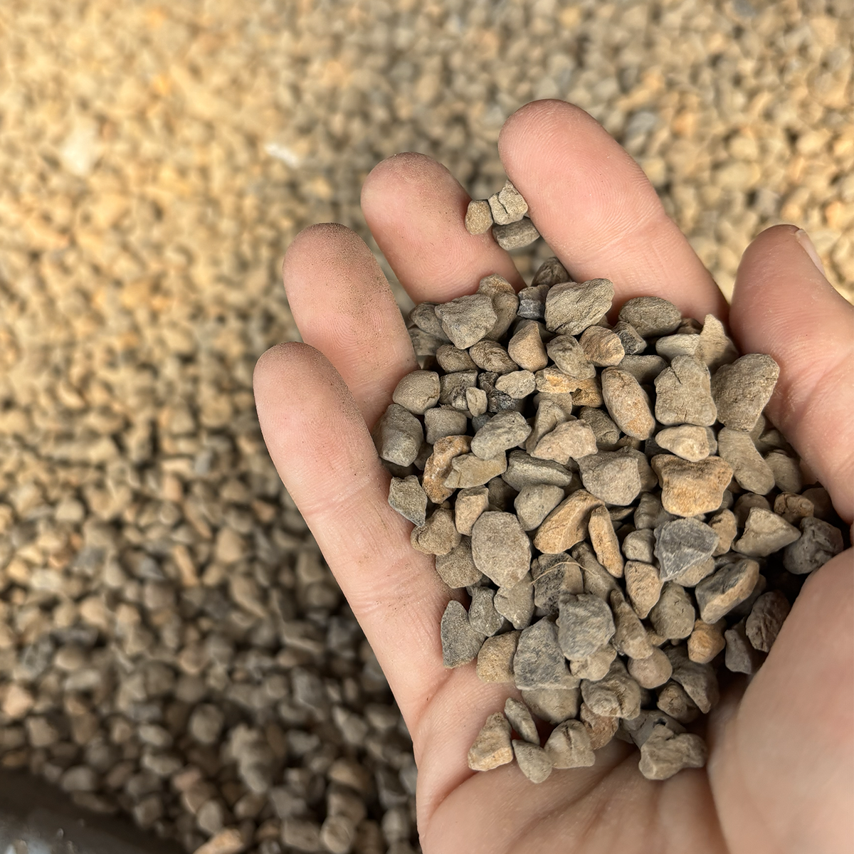 The Complete Guide to Soil Additives for Cacti and Succulents - East ...