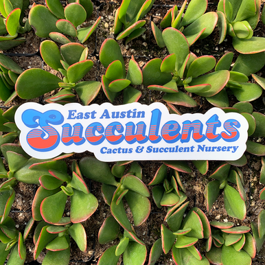 EAS Vinyl Bumper Sticker