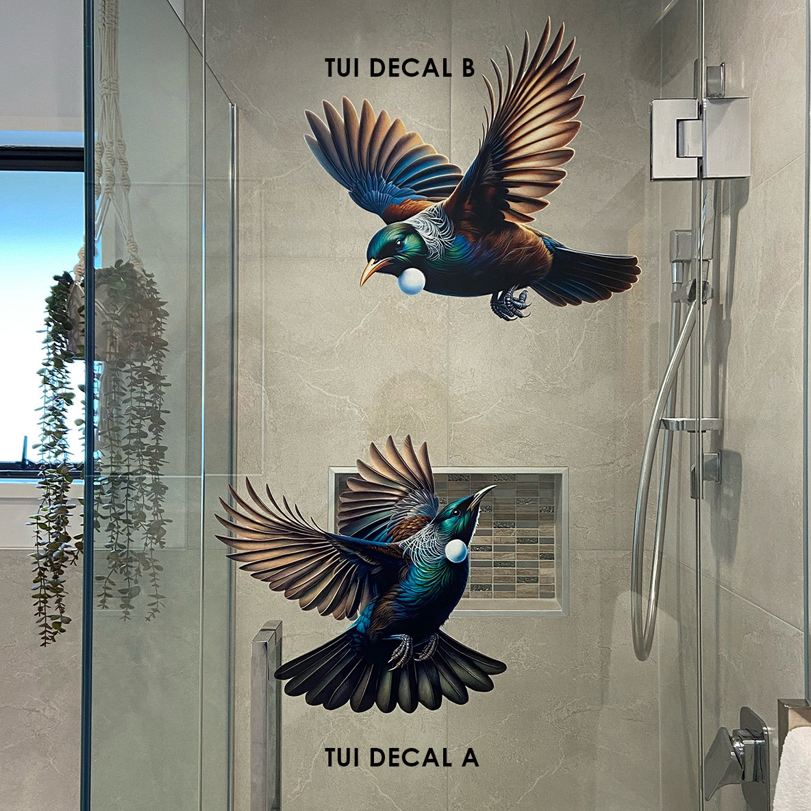 SPECIAL -Single Tui decal for glass A - 31 x 32cm - Lucy G Design