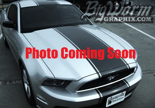 2005-2009 Mustang Super Snake Stripes - Big Worm Graphix