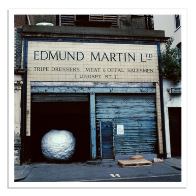 Midsummer Snowballs. 2000. by Andy Goldsworthy square postcard - National Galleries Scotland