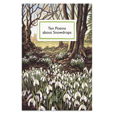 Ten Poems about Snowdrops | Illustrations by Alexandra Buckle ...