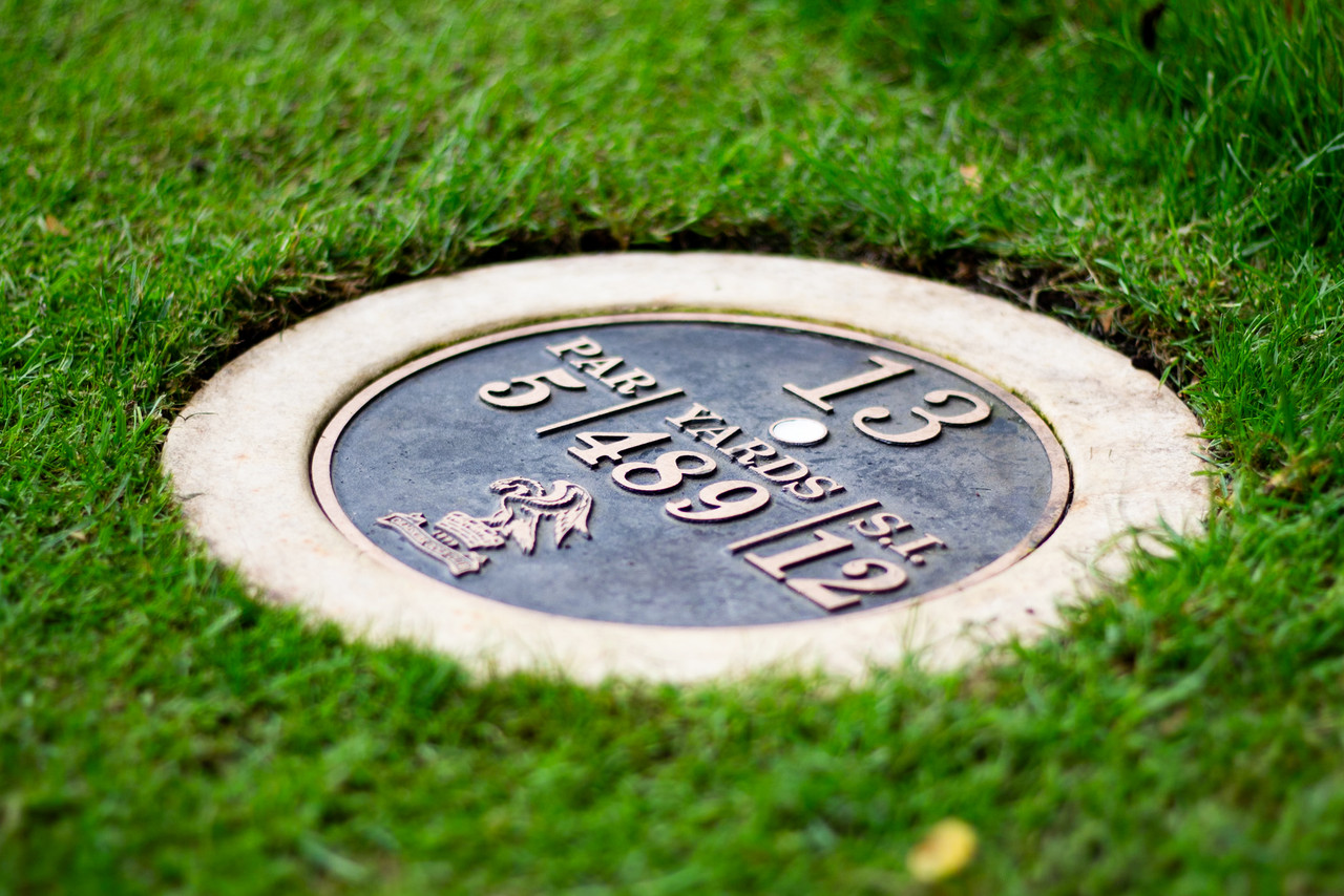 Mow Over Tee Sign - Bronze Plaque - Pinseeker