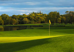 Golf Course Flag Pins | Pinseeker