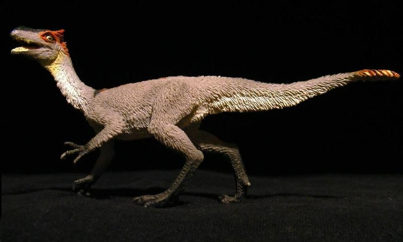 Dilong by Carnegie - Dan's Dinosaurs