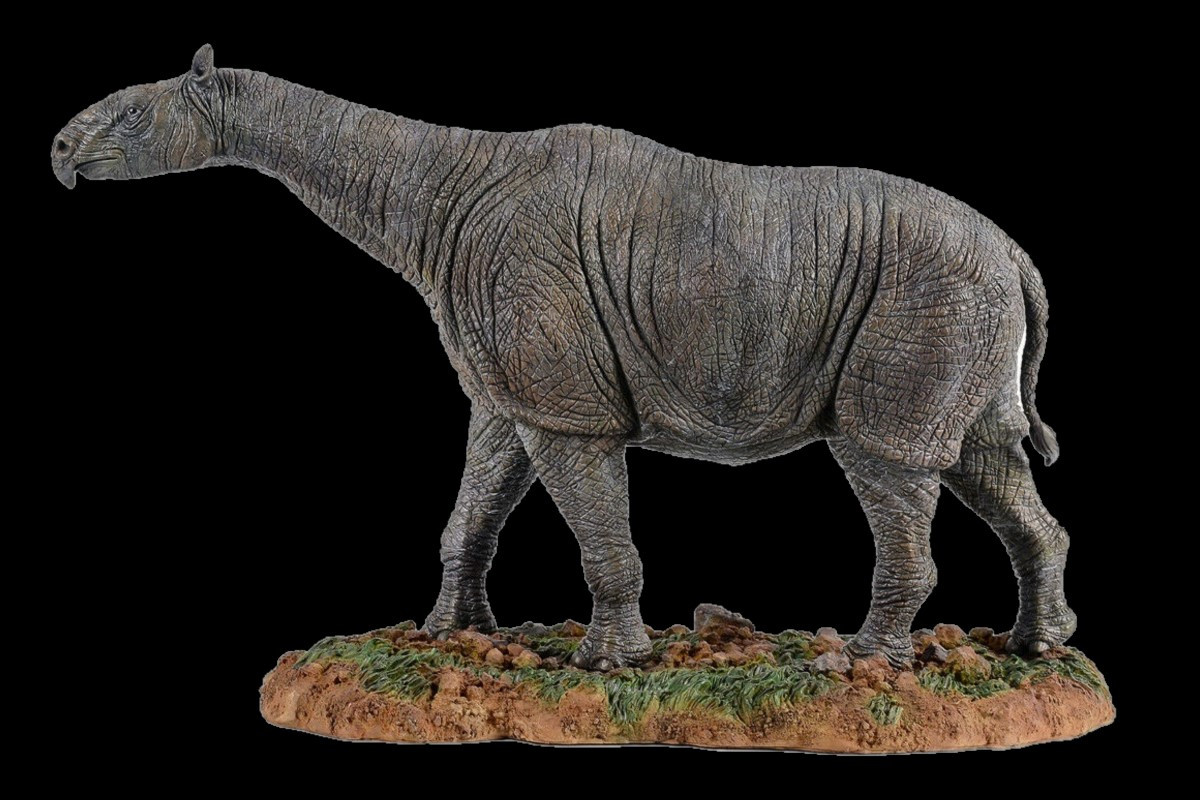 Paraceratherium Resin Kit by Munive - Dan's Dinosaurs