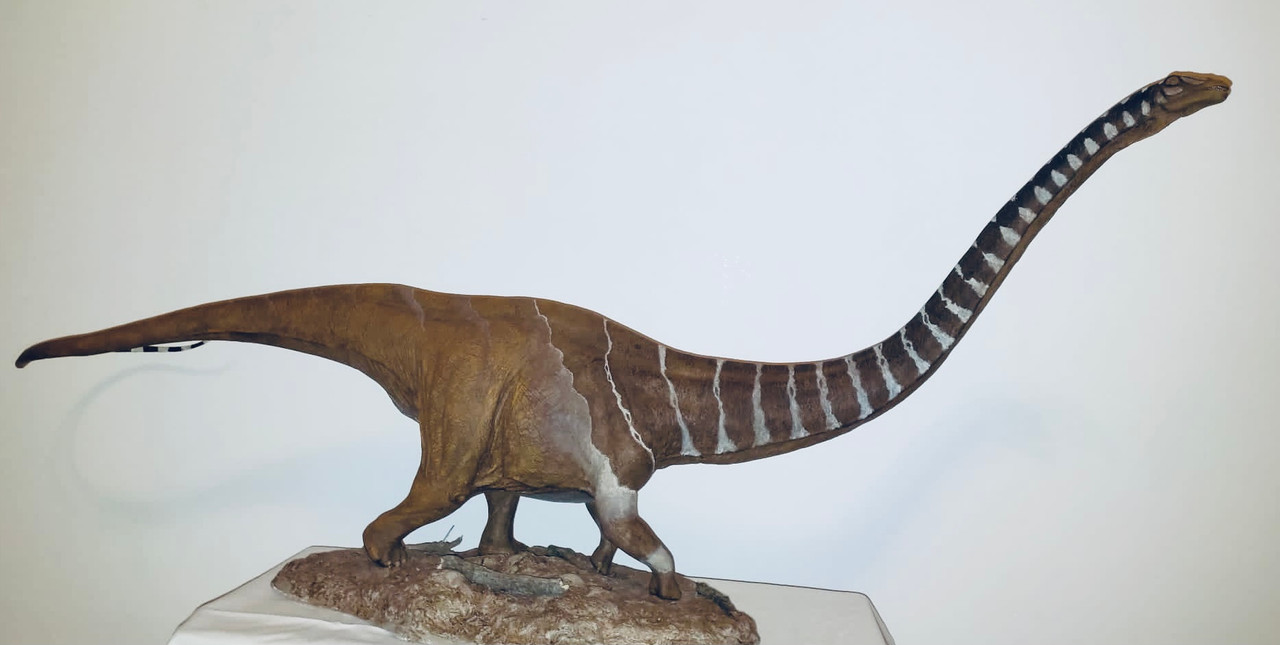 Galeamopus Resin Kit by MO Models - Dan's Dinosaurs