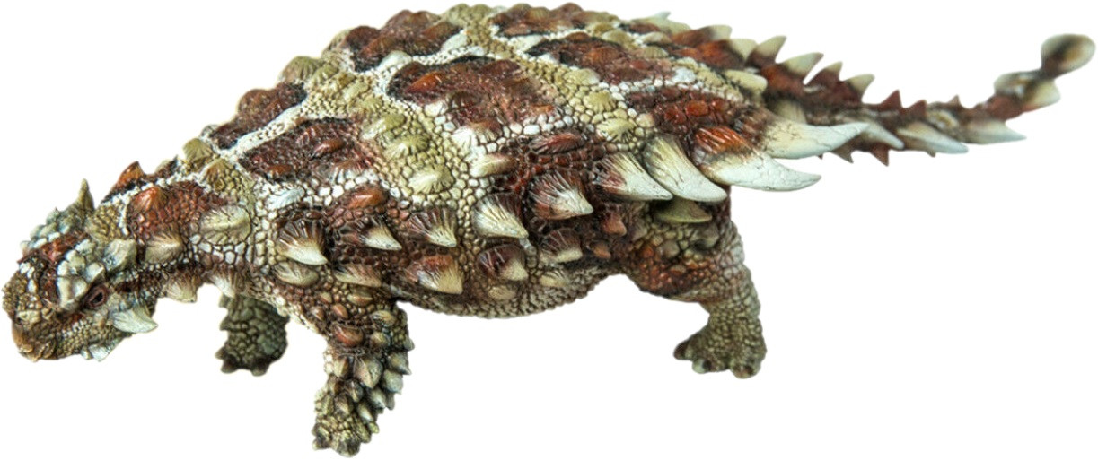 Pinacosaurus by PNSO - Dan's Dinosaurs