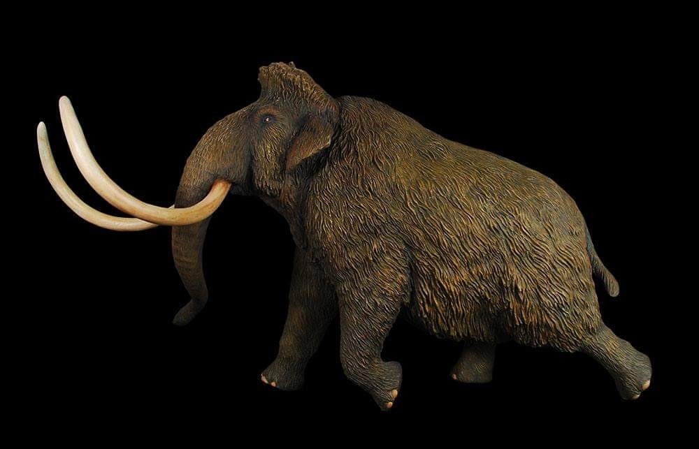 Columbian Mammoth Resin Kit by Lu Feng Shan - Dan's Dinosaurs