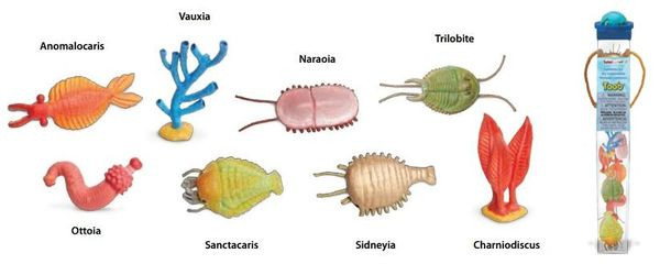 Cambrian Life Toob by Safari - Dan's Dinosaurs
