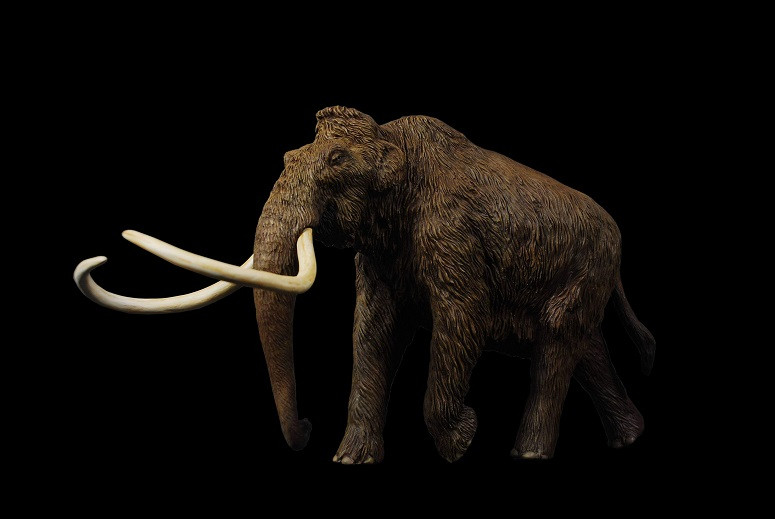 Woolly Mammoth Resin Kit by Lu Feng Shan - Dan's Dinosaurs