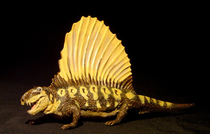 Dimetrodon by Carnegie - Dan's Dinosaurs
