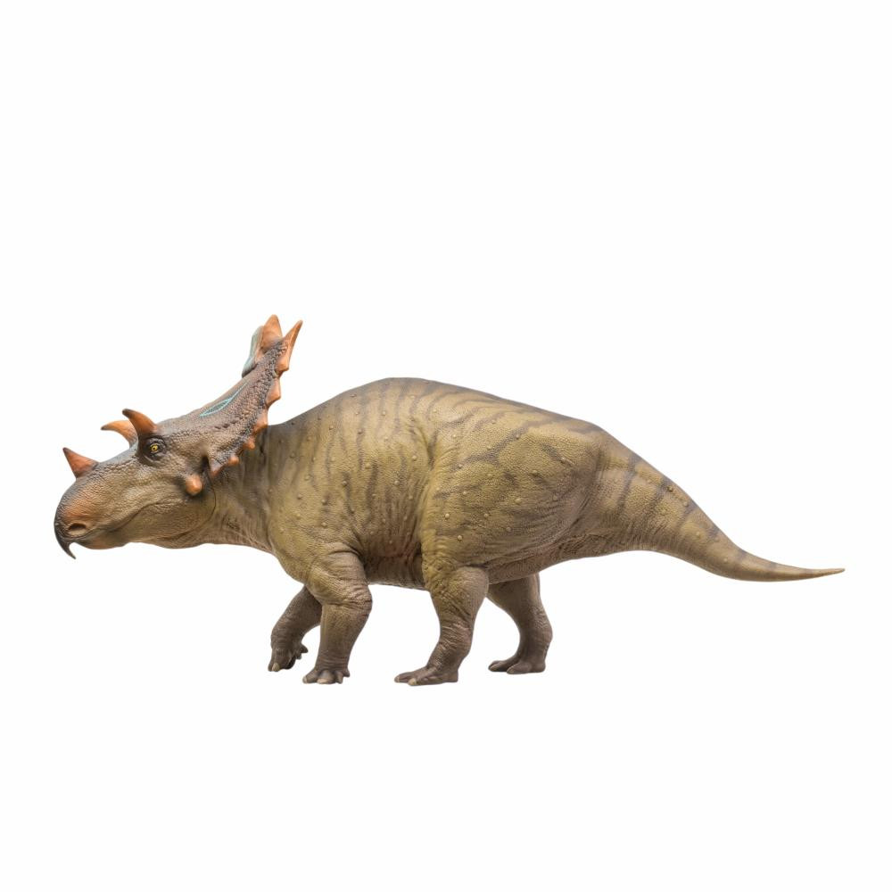 Spiclypeus by PNSO - Dan's Dinosaurs