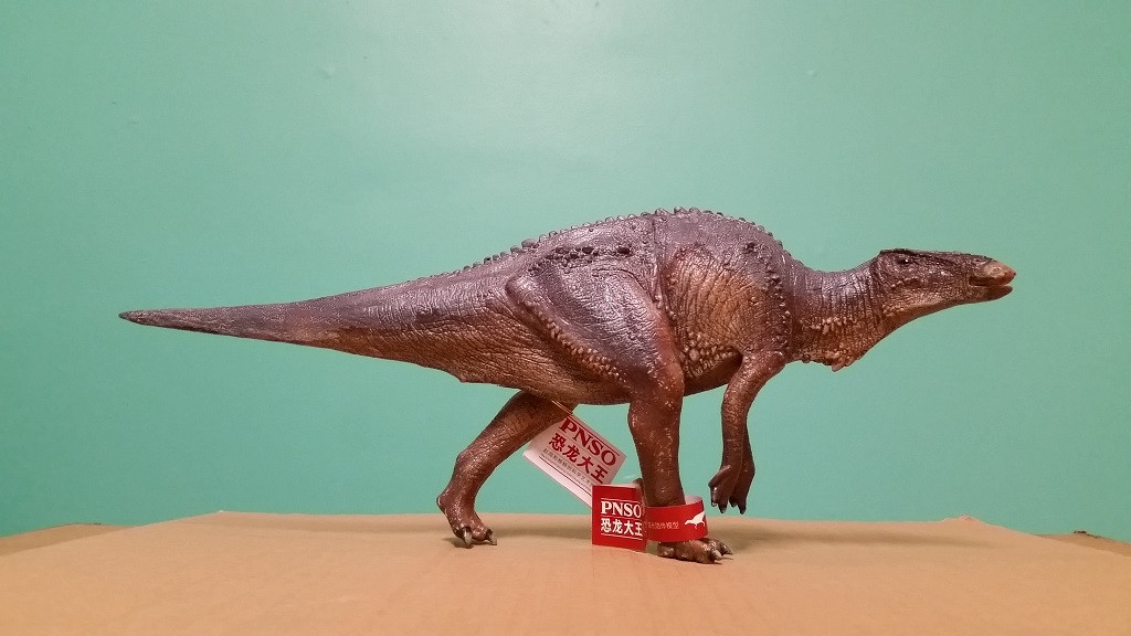 Mandschurosaurus by PNSO - Dan's Dinosaurs