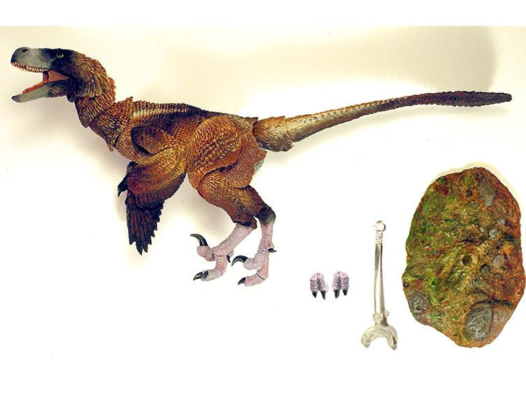 Pyroraptor (Original version) by Beasts of the Mesozoic - Dan's Dinosaurs