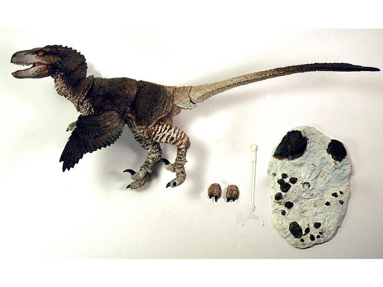 Dromaeosaurus Dromaeosaurus ZooChat