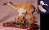 Platybelodon Resin Kit by Paleocraft - Dan's Dinosaurs