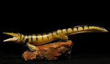 Saltasaurus by Carnegie - Dan's Dinosaurs
