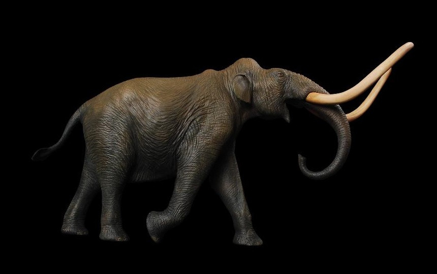 Columbian Mammoth Resin Kit by Lu Feng Shan - Dan's Dinosaurs