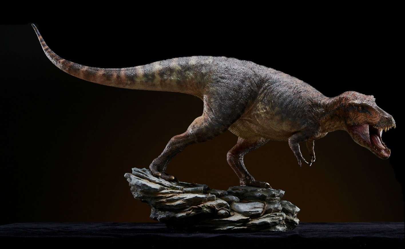 Lythronax Resin Kit by Musee Studio - Dan's Dinosaurs