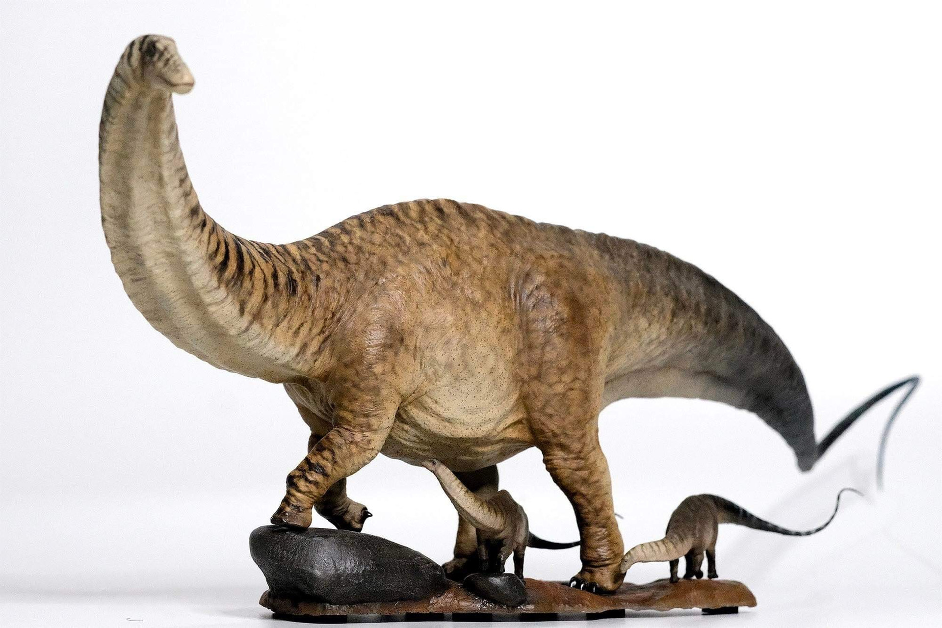 Gorgosaurus vs. Pachyrhinosaurus Resin Kit by Dan's Dinosaurs - Dan's ...
