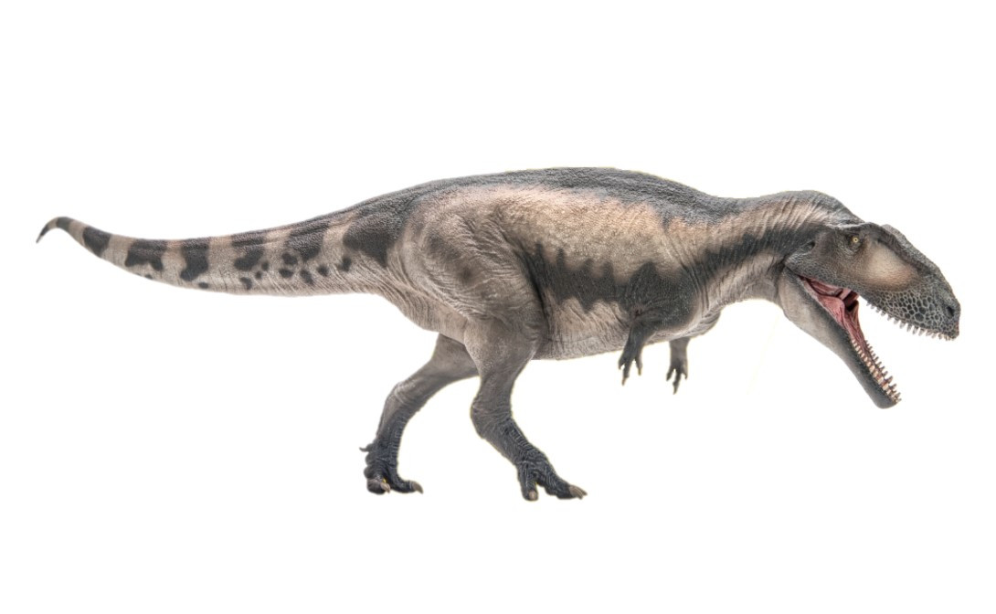 Mapusaurus by PNSO - Dan's Dinosaurs