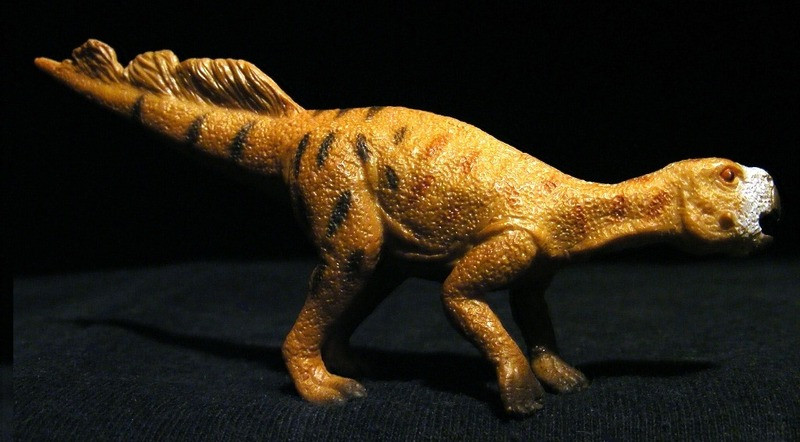 Psittacosaurus by Procon - Dan's Dinosaurs