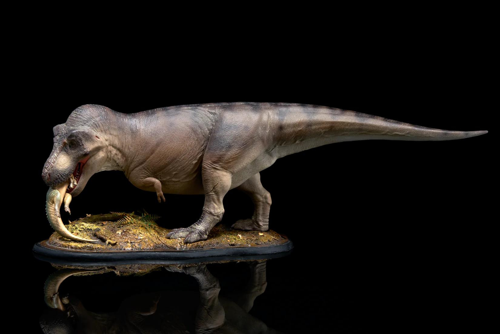 Models - Page 1 - Dan's Dinosaurs