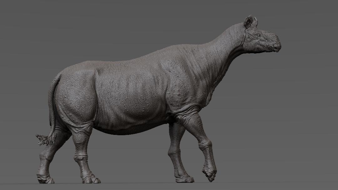 Paraceratherium Resin Kit by Munive - Dan's Dinosaurs