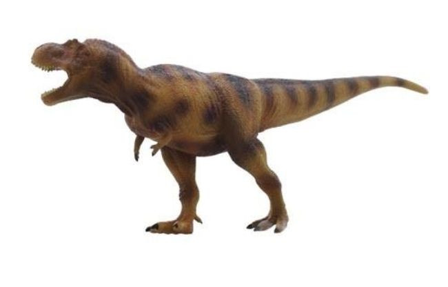 Tyrannosaurus (Bald) by Favorite - Dan's Dinosaurs
