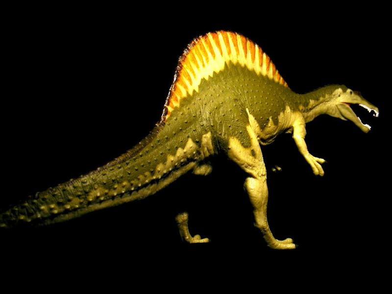 Diplodocus by Carnegie - Dan's Dinosaurs