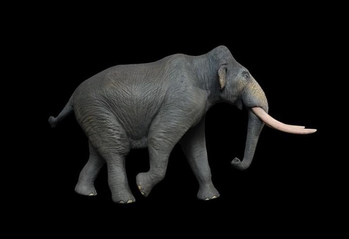 Pygmy Mammoth Resin Kit by Lu Feng Shan - Dan's Dinosaurs