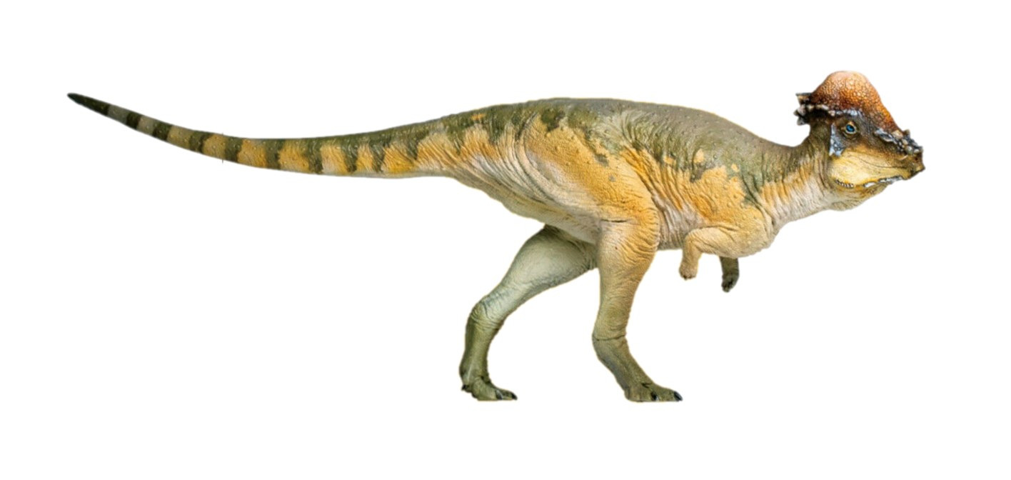 Meraxes by PNSO - Dan's Dinosaurs