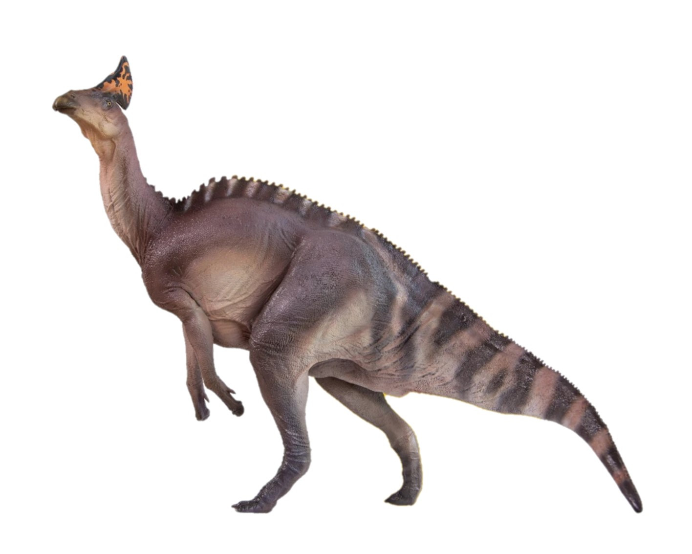 Olorotitan Walking Resin Kit by Klatt - Dan's Dinosaurs