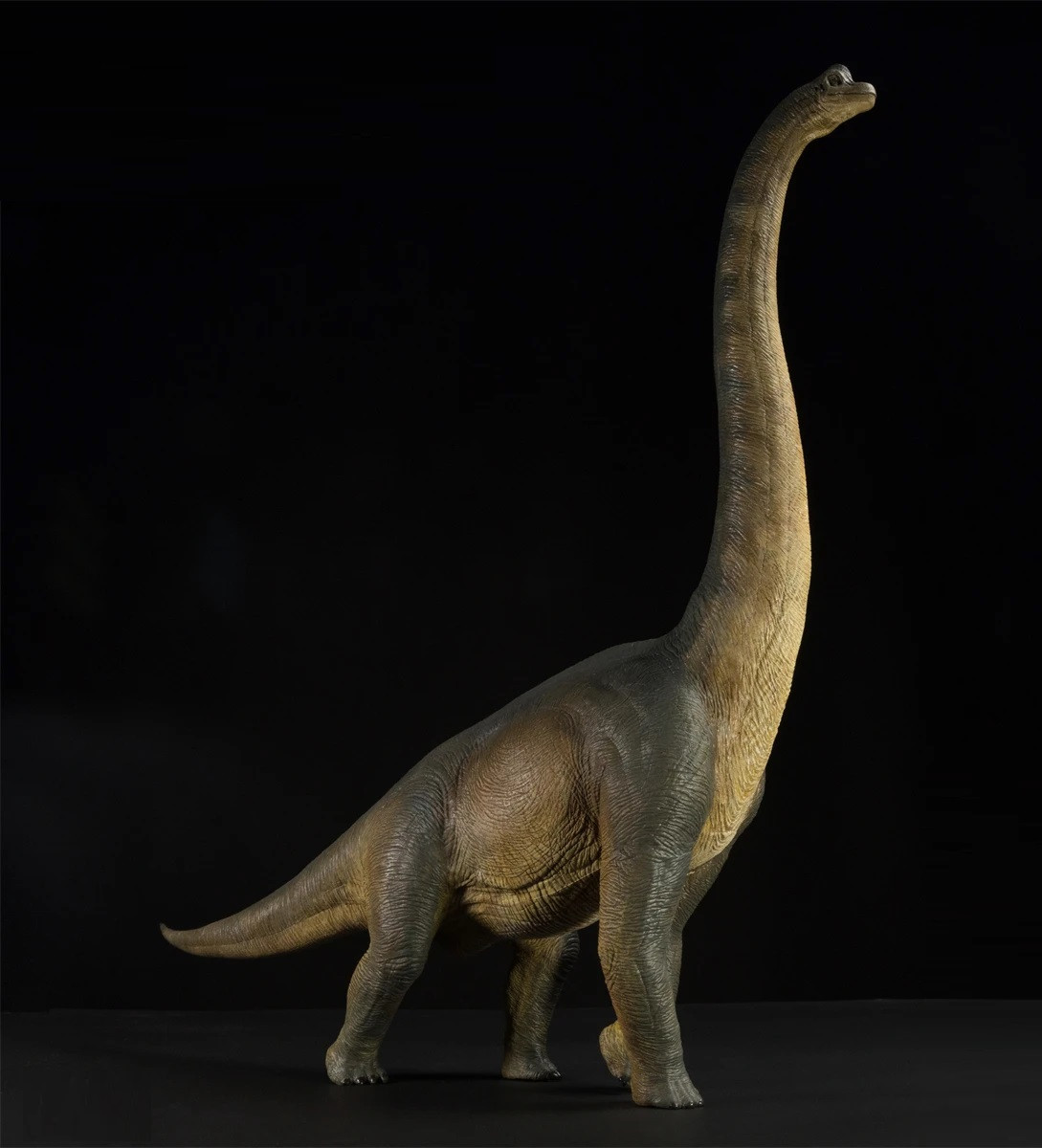 Apatosaurus by Sideshow (2015 Version) - Dan's Dinosaurs