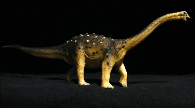 Saltasaurus by Carnegie - Dan's Dinosaurs