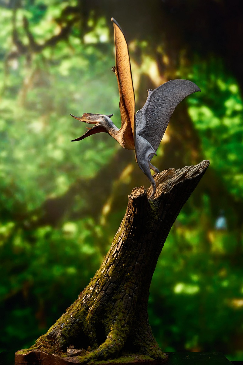 Dsungaripterus Resin Kit by Musee - Dan's Dinosaurs