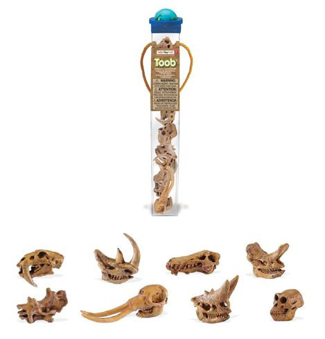 Prehistoric Crocodiles Toob by Safari - Dan's Dinosaurs